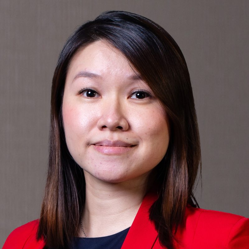 Organisational Structure – Malaysian Australian Alumni Council